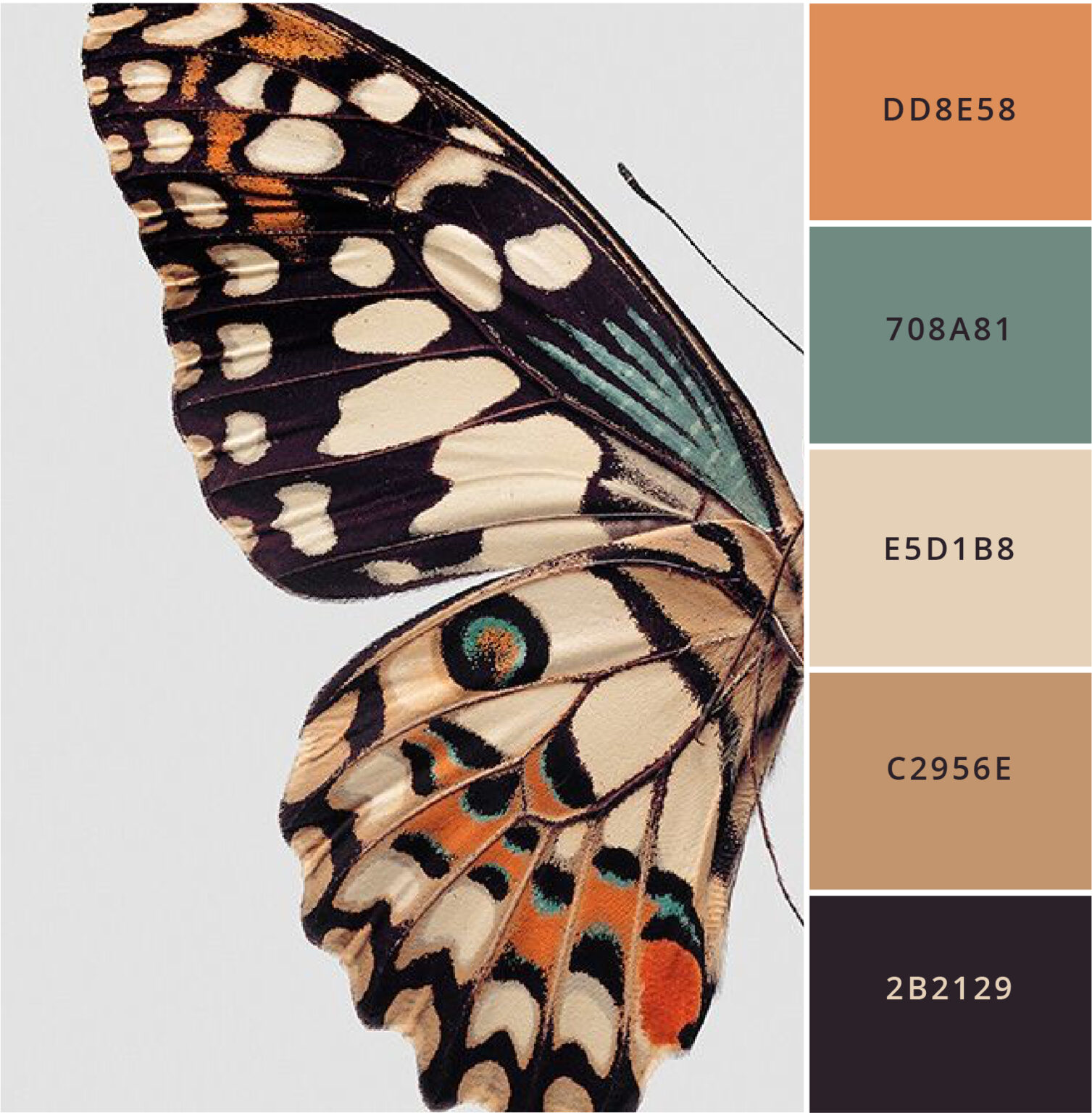 Color Palette Selection - Solely Pixels - Visual Communication Blog