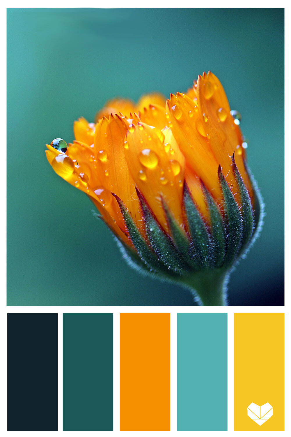 Color Palette Selection - Solely Pixels - Visual Communication Blog
